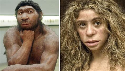 Neanderthal And Company Bibletalk Tv