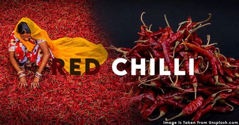 Wellhealthorganiccomred Chilli You Should Know About Red Chilli Uses