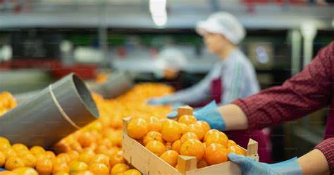 신선하게 익은 만다린이 담긴 나무 상자를 들고 있는 과일 분류 및 포장 창고 직원의 손 사진 Unsplash의 감귤류 이미지