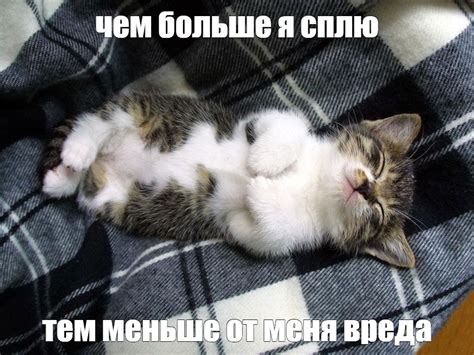 Мем чем больше я сплю тем меньше от меня вреда Все шаблоны Meme