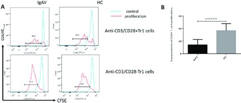 Suppressive Functional Assessment Of Tr1 Cells Download Scientific