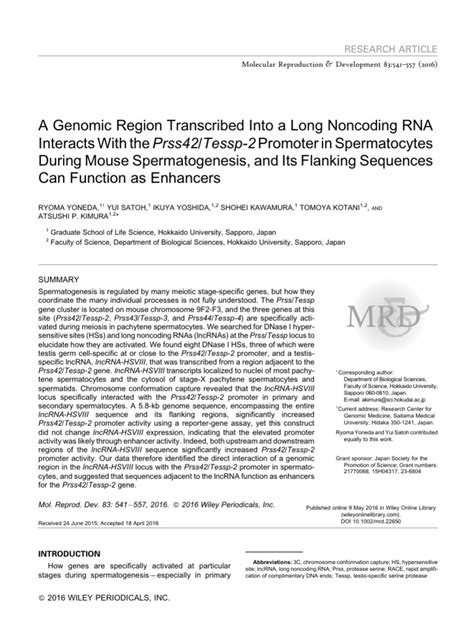 A Genomic Region Transcribed Into A Long Noncoding Rna Interacts With The Prss42 Tessp 2