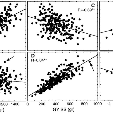 Linear Regression Of Yield Reduction Induced By Drought GY WW GY SS