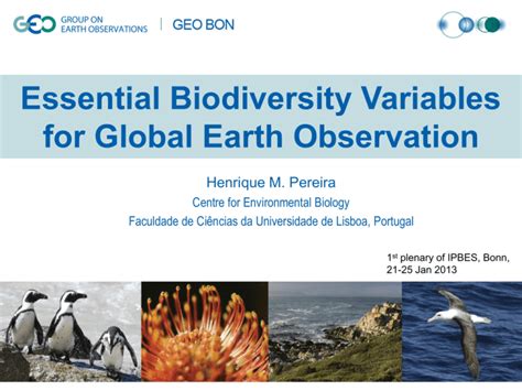 Essential Biodiversity Variables For Global Earth Observation