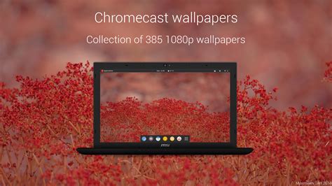 🔥 50 Chrome Cast Wallpapers Wallpapersafari