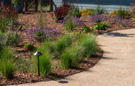 Nipomo Countryside Landscape Design — Contexto Landscape Design Build