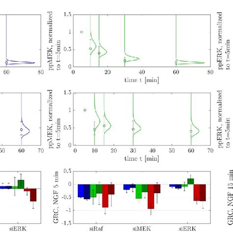 Calibrated Model Using A Bayesian Approach Dynamic Responses Of PRaf Download Scientific