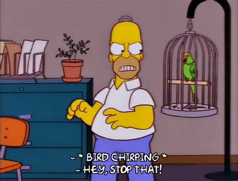 Homer Simpson Season 9 Angry  Find On Er