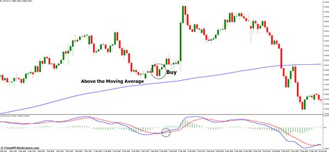 Mastering Macd Indicator For Forex Trading Signals