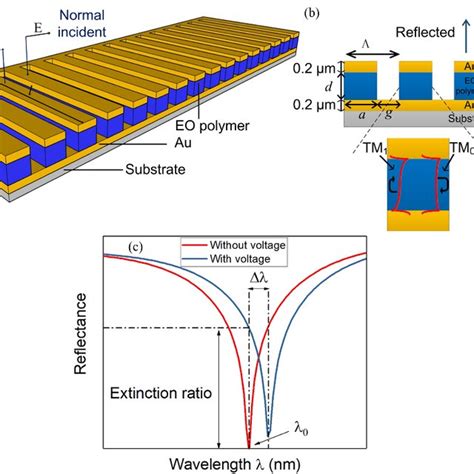 Schematic A Cross Section B And C Modulation Principle Of The Download Scientific