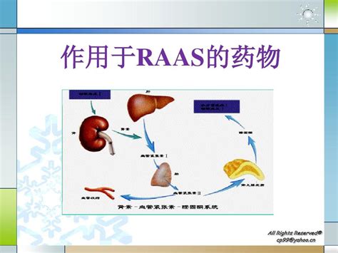 1 2RAAS CCB word文档在线阅读与下载 无忧文档