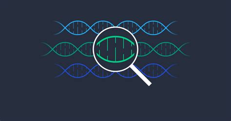 genetic algorithms search and optimization by natural selection toptal®