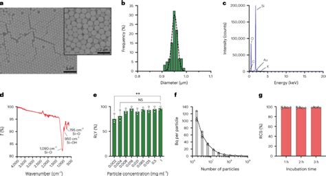 In Vivo Real Time Positron Emission Particle Tracking Pept And Single