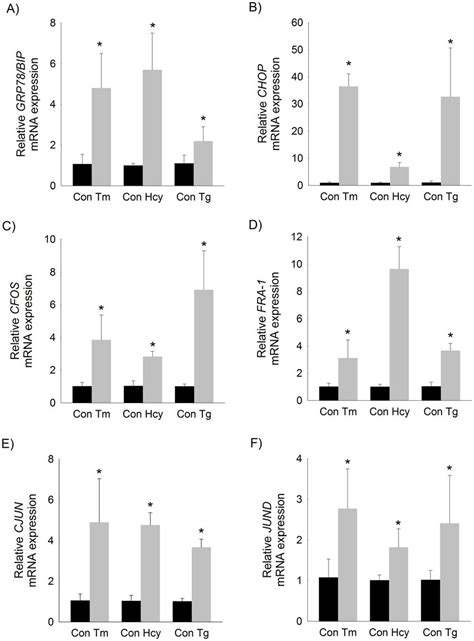 Induction Of Er Stress Transcriptionally Activates Genes Of The Ap 1