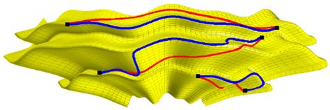 Geodesic Curves On A Parametric Surface With Features Light Colored Download Scientific