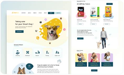 分享 个精美的html网页模板快速建站必备