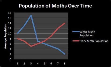 Moth Lab Gollner Isn