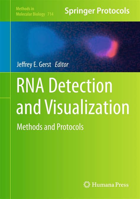 RNA Detection And Visualization Methods And Protocols Methods In Molecular Biology 714