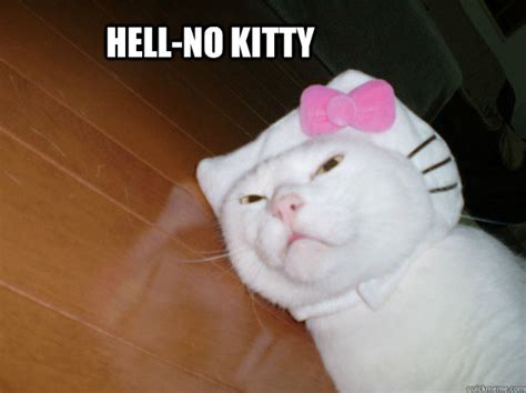 Hell No Kitty