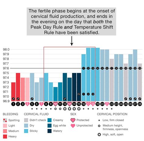 Learn The Basics Behind Basal Body Temperature Bbt Artofit