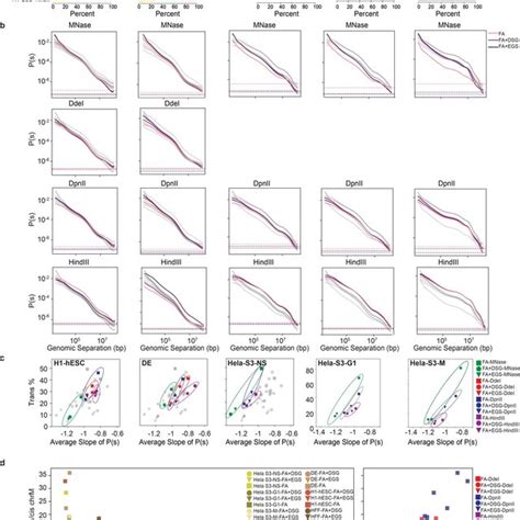 Hi C Map Patterns At The Top And Their Interpretation At The Download Scientific Diagram