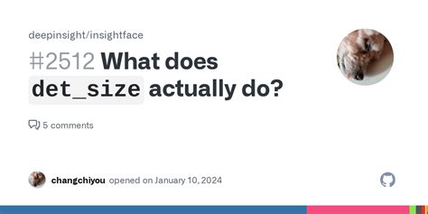 What Does `detsize` Actually Do · Issue 2512 · Deepinsight
