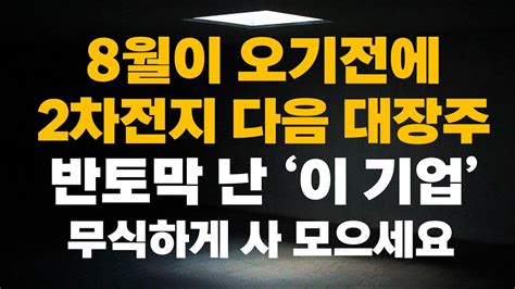 [주식] 8월이 오기전에 2차전지 다음 대장주 반토막 난 이 기업 무식하게 사 모으세요 [저평가대장주 에코프로비엠 포스코