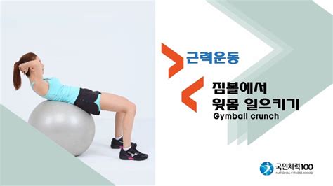 어르신 짐볼에서 윗몸 일으키기 소도구짐볼 L 근력·근지구력 향상 프로그램 Youtube