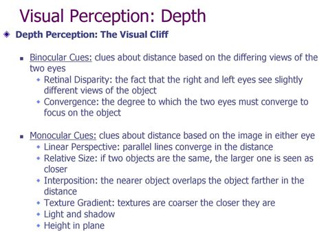 Sensation And Perception Ppt Download