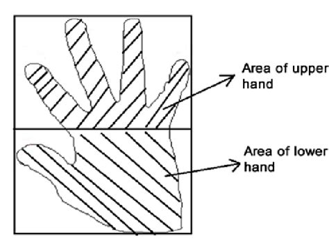 Figure 1 From A Algorithm For Static Gesture Recognition Using