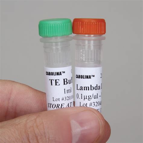Lambda Dna Carolina Biological Supply