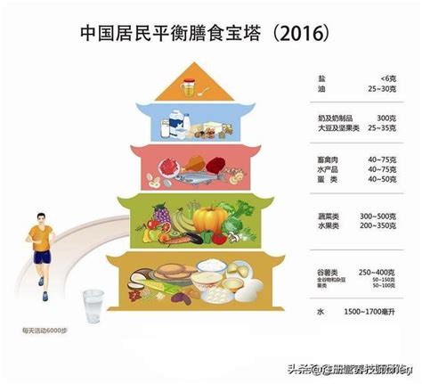 營養小白的初級指南 達到平衡膳食的1個秘訣5個小技巧 每日頭條
