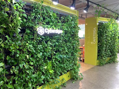 점핏 서버개발팀 웹클라이언트 개발자경력