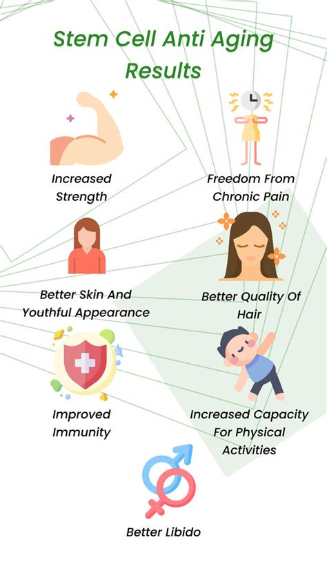 Stem Cell Anti Aging 2023 Everything You Should Know About The