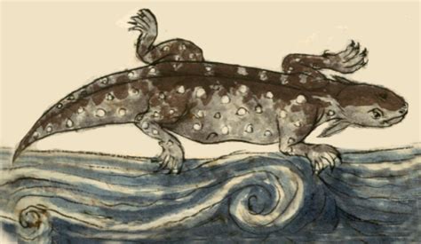 Citlalaxolotl Fcbk11f76r Visual Lexicon Of Aztec Hieroglyphs