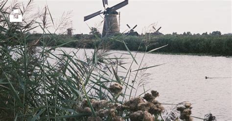 무성한 녹색 들판 옆 강 위에 앉아있는 풍차 사진 Unsplash의 무료 네덜란드 이미지