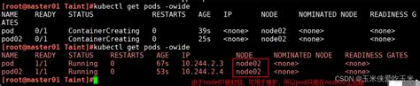 【kubernetes】关于k8s集群的污点、容忍、驱逐以及k8s集群故障排查思路 阿里云开发者社区
