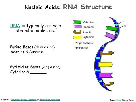 About Science Prof Online Power Point Resources Science