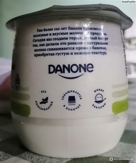 Йогурт Danone Термостатный натуральный 4% - «Вкусный, натуральный ...