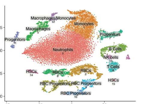 Single Cell Rna Sequencing Data Analysis Symbio Analytics