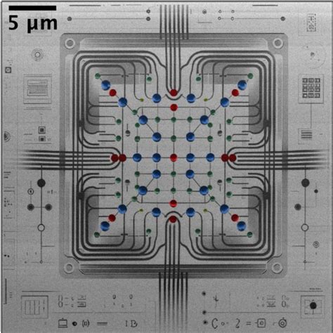 Silicon Chip Microscope