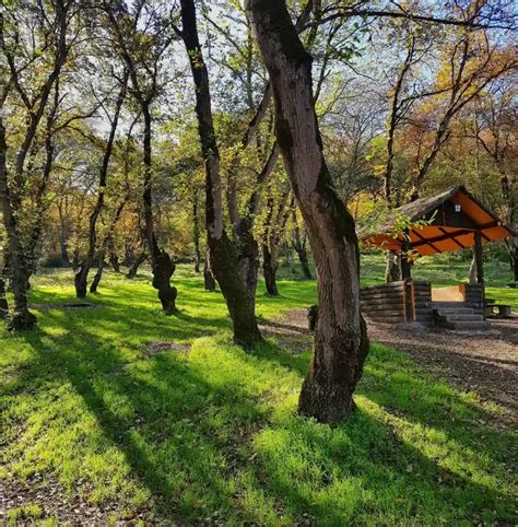 جاهای دیدنی ساری؛ مکان های تفریحی با لوکیشن و عکس تریپ تودی