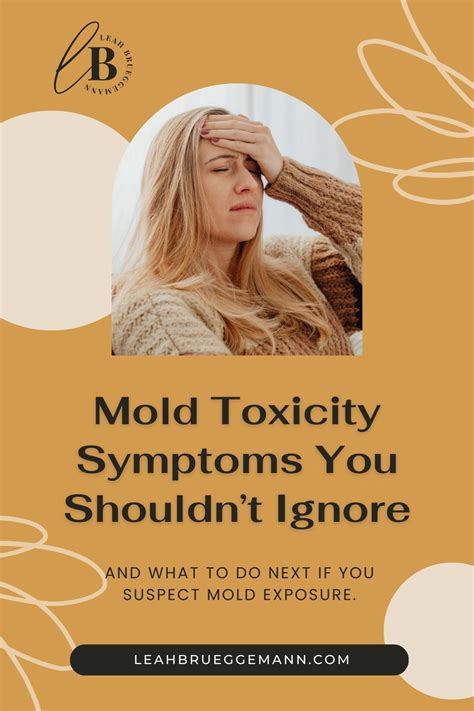 When To Run Labs For Hormone Testing — Leah Brueggemann Hormone Health