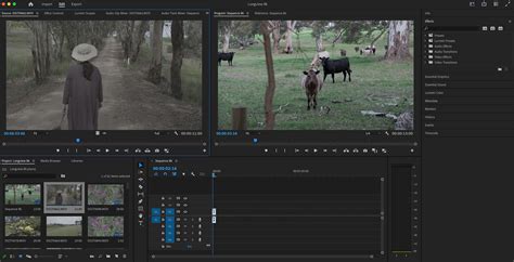 H265 Vs H264 Mp4 Video Compression Adam Insights