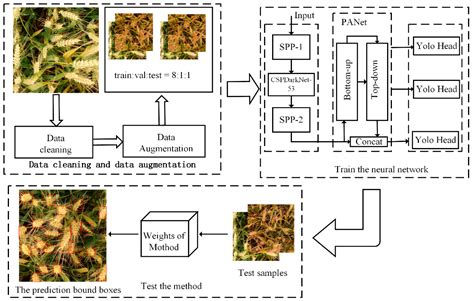 Real Time Detection For Wheat Head Applying Deep Neural Network