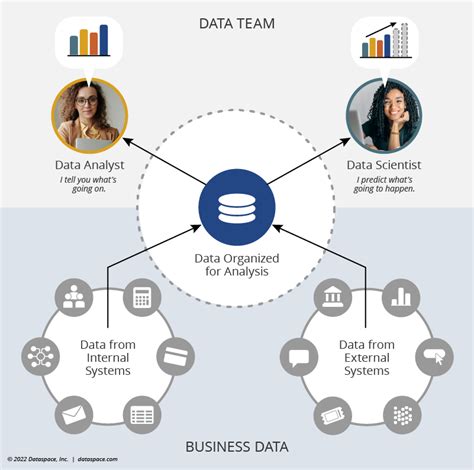 The Data Scientists Role In Business And How They Drive Success