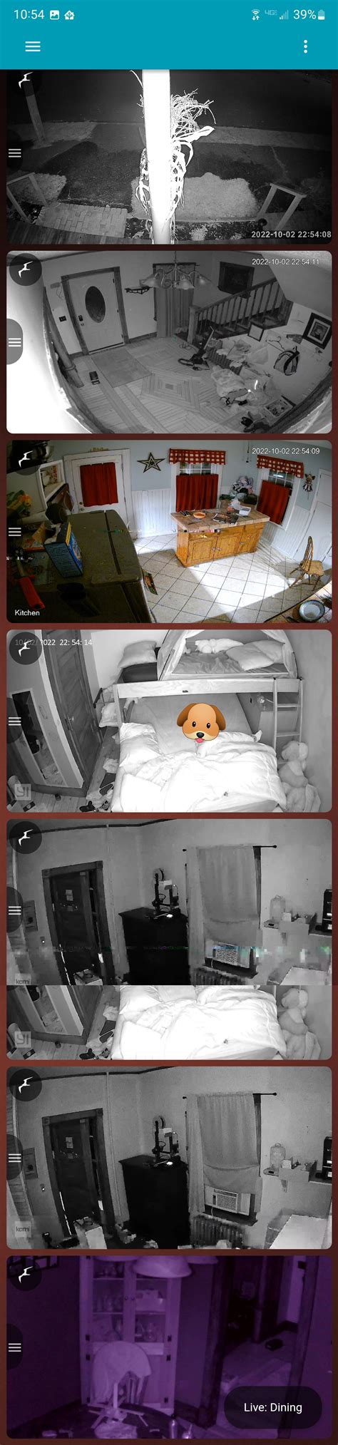 Wow Just Wow · Blakeblackshear Frigate · Discussion 4004 · Github