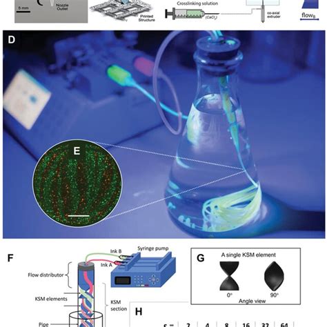 Single‐nozzle Multi‐material Bioprinting Technologies A B Schematic Download Scientific