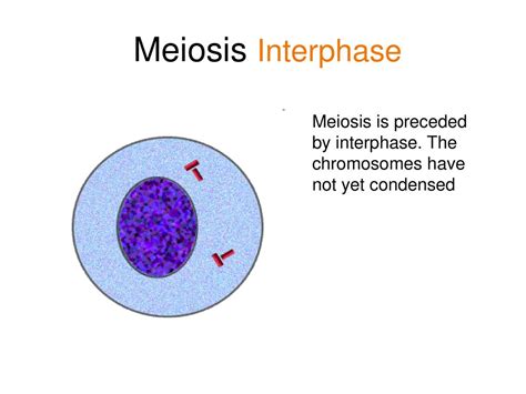 Hereditary Ppt Download