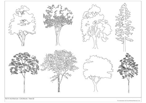 Free Cad Blocks Trees 02 Architectural Trees Landscape Architecture Drawing Tree Sketches